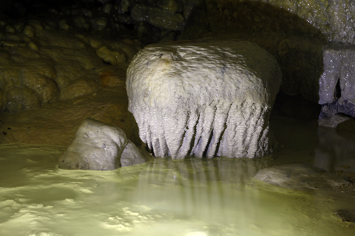 Episode 86: Paris - Les Catacombes interdites - Duolingo