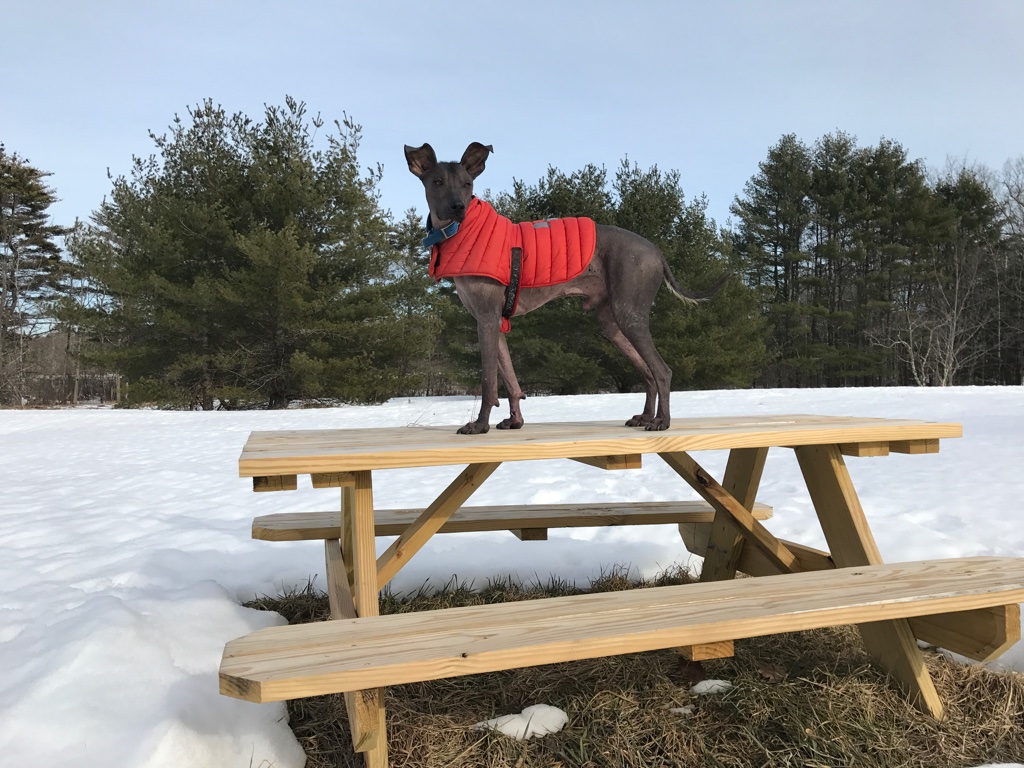 Spanish Podcast Episodes - Duolingo