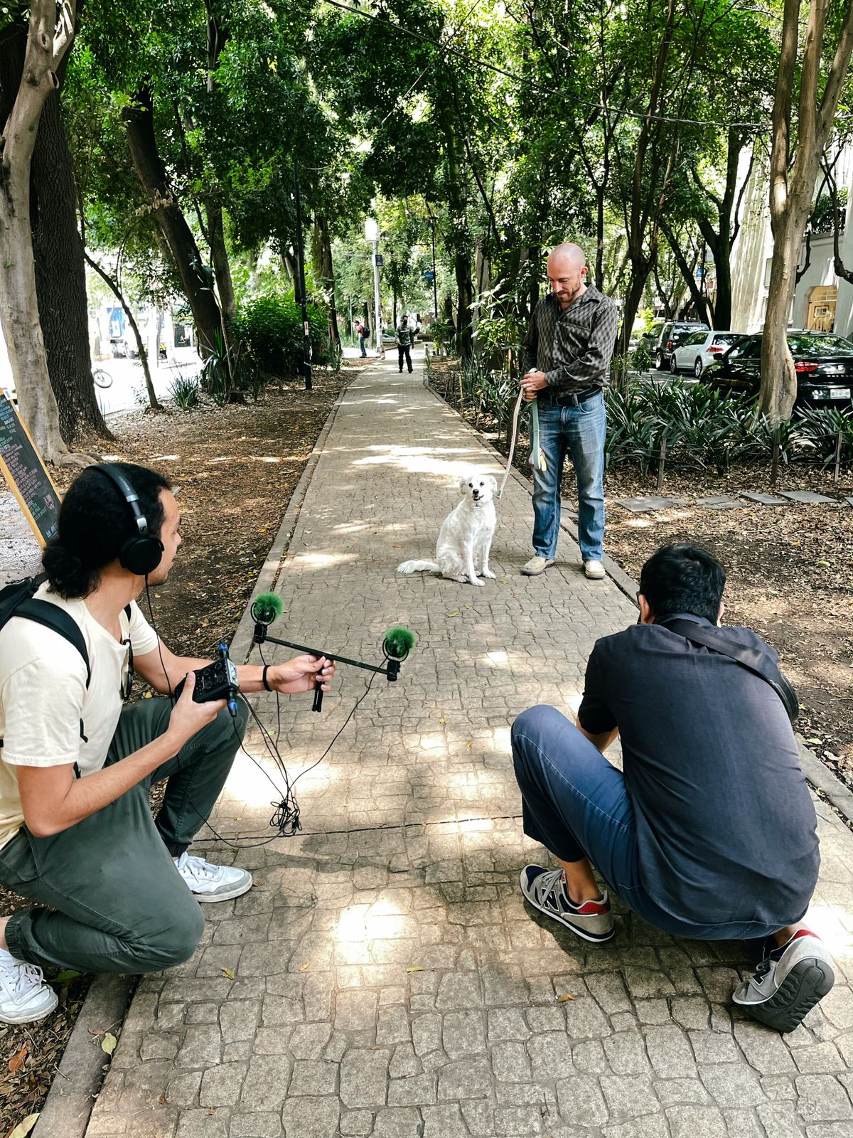 Episode 140: Mexico City - Perros de La Condesa - Revisited - Duolingo